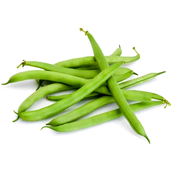 Jade bean Seeds • Australand Agriculture